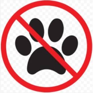 VISITOR’S INFORMATION – Welcome to Lake Carnico